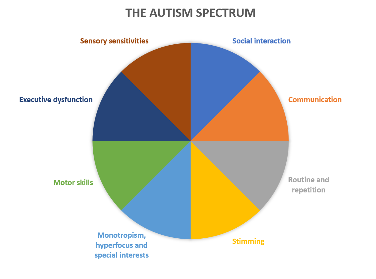 Blog Post nr. 4: The Autism Spectrum – Autism Diversity